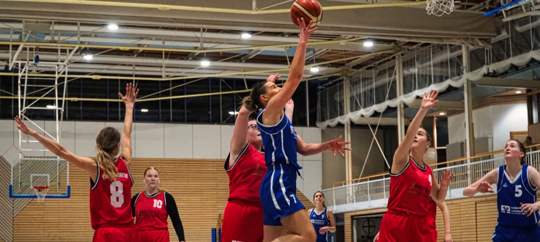 HSB - Basketball | Startseite